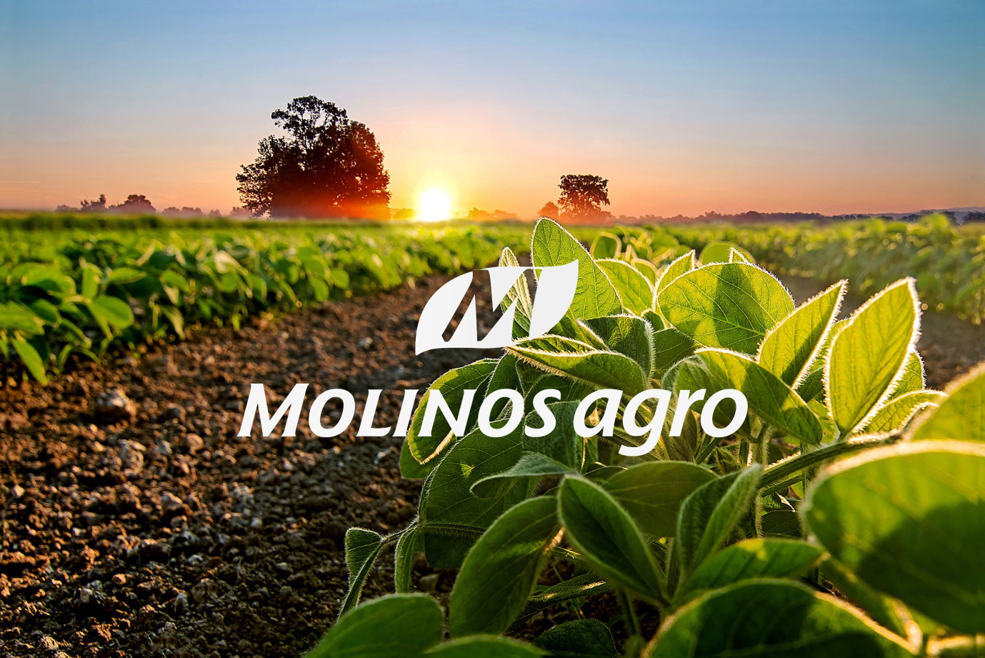 Cultivos Sustentables – ucrop.it